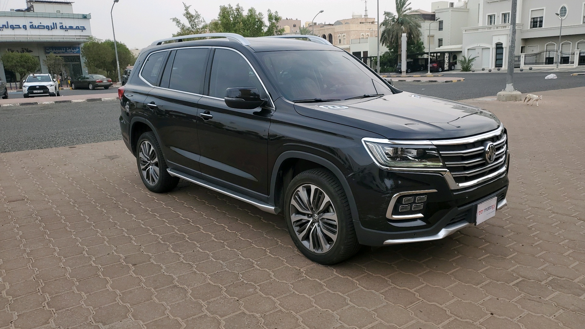 Motorgy | MG؜ RX8؜ 2020