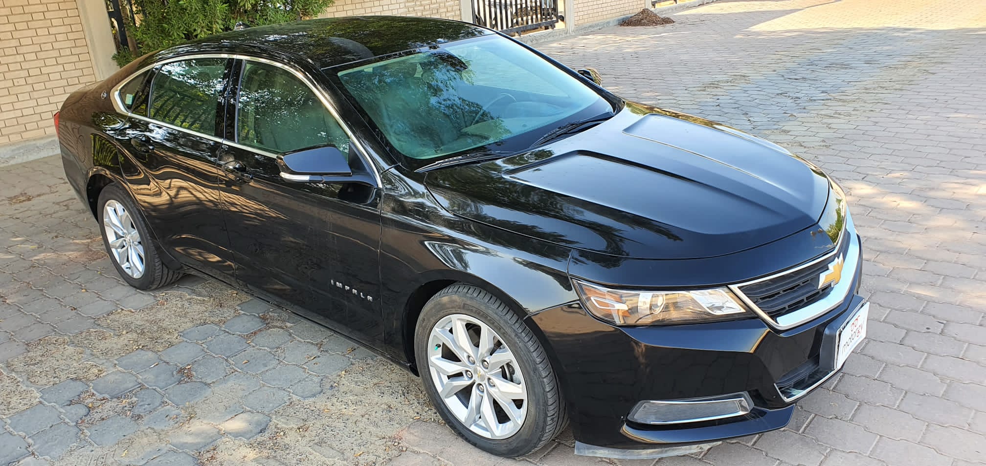 Motorgy | Chevrolet؜ Impala؜ 2017